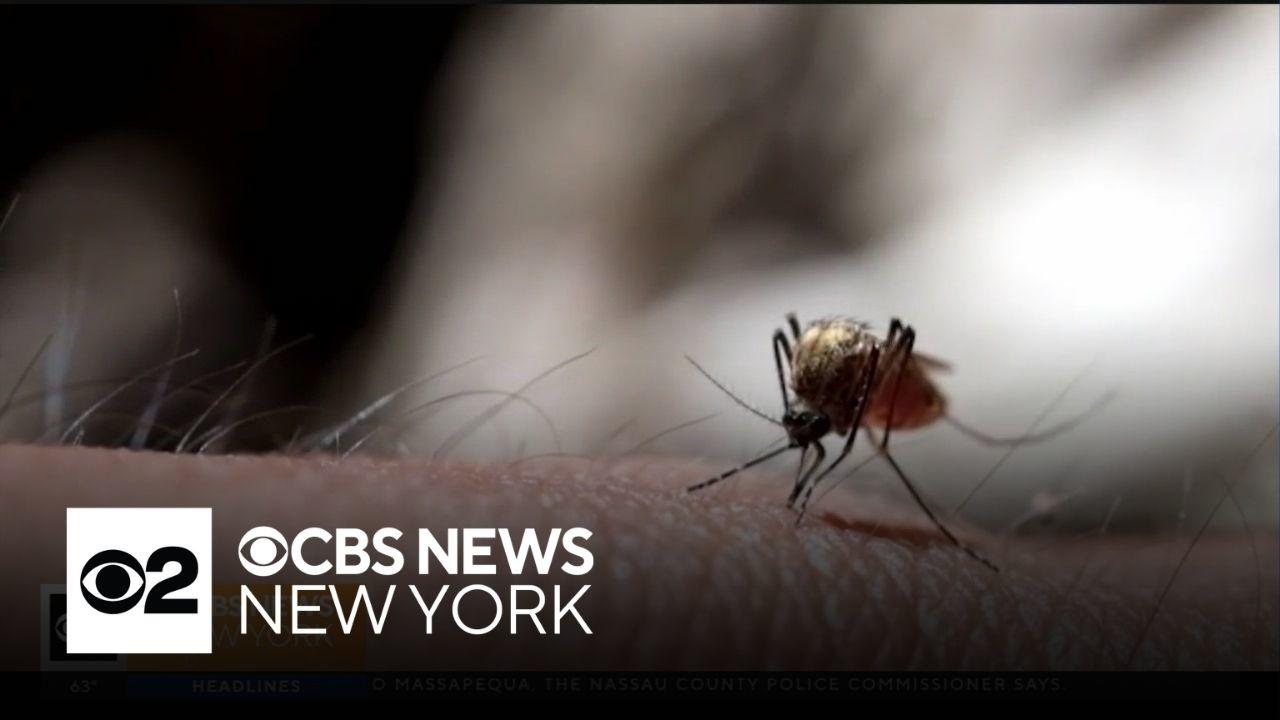 New York confirms its first case of EEE since 2015. What to know about ...