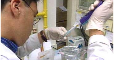 Pig Cells Vs. Paralysis - CBS News