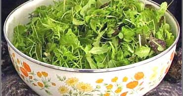 Woman claims to find 3-inch lizard inside store-bought lettuce - CBS News