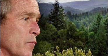 Dems Point Finger On Environment - CBS News