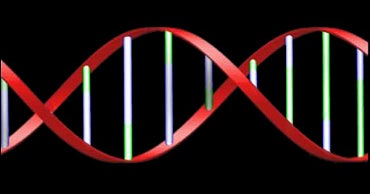 DNA Helps Catch Crooks - CBS News
