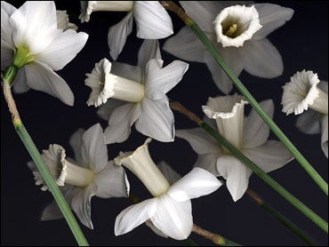 Katinka Matson Image Gallery