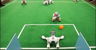 Soccer Stars Of The Future? - CBS News