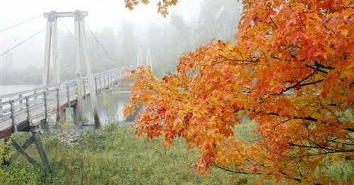 Officials: Three arrested in Michigan sugar maple log thefts - CBS News