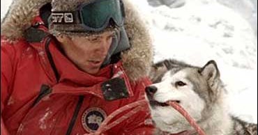 Sled-Dog Movie Mushes Into First Place - CBS News