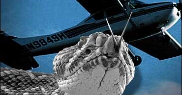 Snakes On A Plane, For Real - CBS News