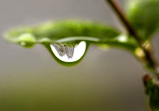 Reflections In Raindrops