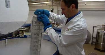 Female Genome Map May Help Fight Disease - CBS News