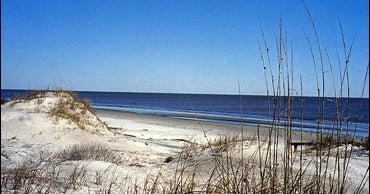 HIV Origins Traced To Monkey Virus - CBS News