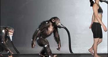 Why Did We Evolve To Walk Upright? - CBS News