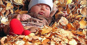 Fall Scenes 2007