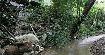 Trial Ordered In Puerto Rican Pet Massacre - CBS News