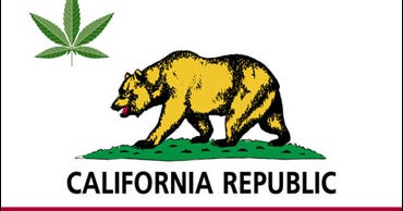 Huge pot farm bust in Calif. national forest - CBS News