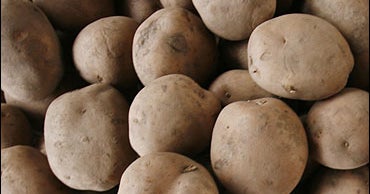 The Potato: Undeserved Bad Rep - CBS News