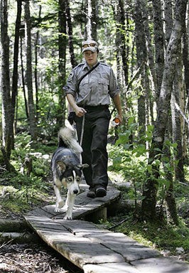 Maine's Hidden Treasure