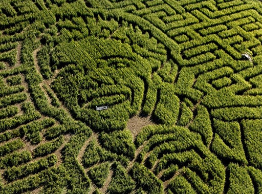 Amazing Mazes