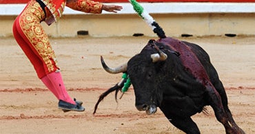 The Running of the Bulls