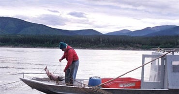 'Free Willy' Whale Dies - CBS News