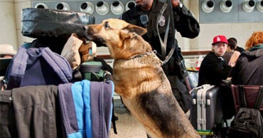 Confusion Reigns Over In-Flight Security - CBS News