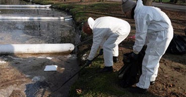 Italy Oil Spill Raises Fear of Crop Damage - CBS News