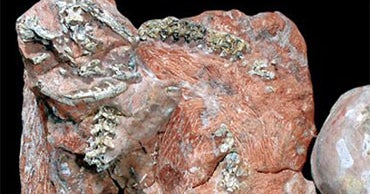 Fossil Shows Snake Ate Baby Dinosaurs - CBS News