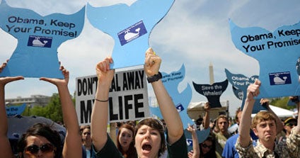 Earth Day 2010