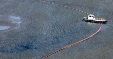 Marine Food Chain Seen at Risk After Oil Spill - CBS News