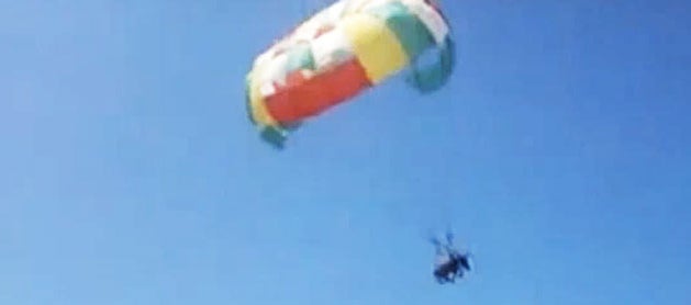 Parasailing Donkey (PICTURE): Hilarious Video or Animal Cruelty? - CBS News