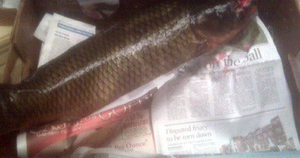 White House Staff Gives Rahm Emanuel Dead Fish as Parting Gift - CBS News