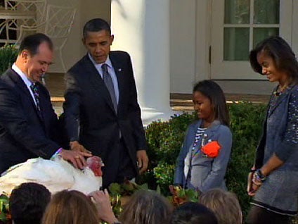 Obama Turkey Pardon: "It Feels Pretty Good to Stop at Least One ...
