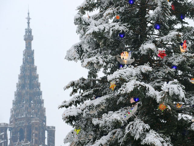 Christmas Trees Around the World