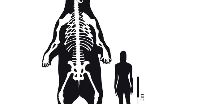 prehistoric bear