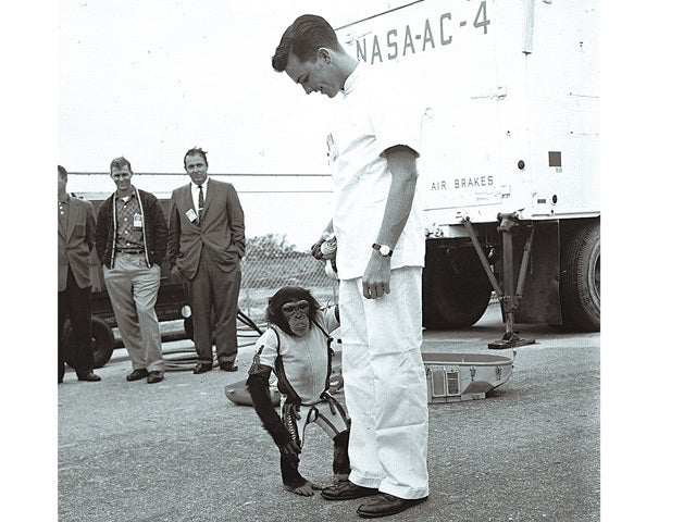 The Legacy of Ham, the Astrochimp