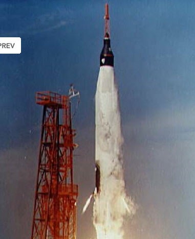 The Legacy of Ham, the Astrochimp