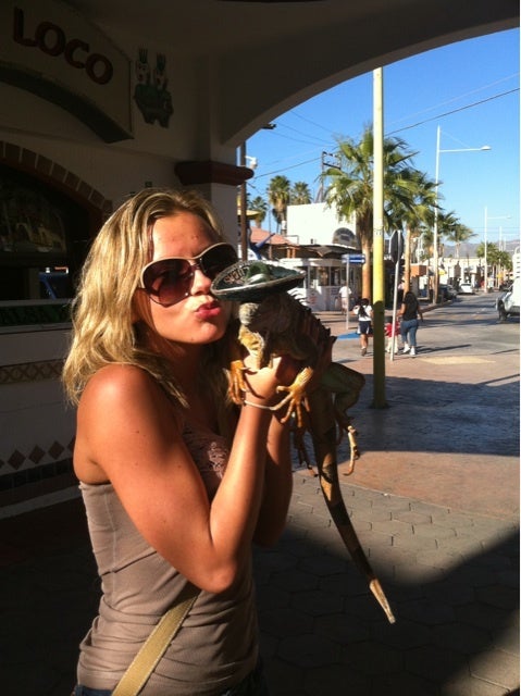 Charlie Sheen Porn Star Pal Arrested for DUI, Say Reports