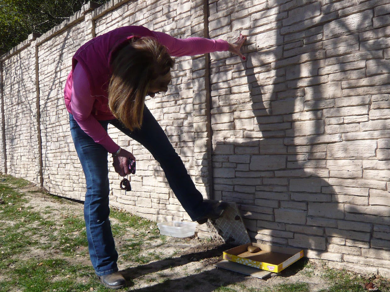 Looking for Lisa Stone