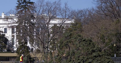 Strong winds topple National Christmas Tree - CBS News
