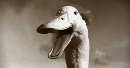 Who will be the new voice of Aflac duck? - CBS News
