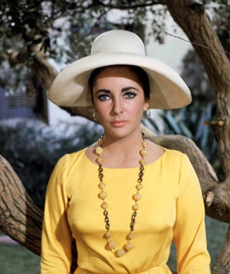 The films of Elizabeth Taylor