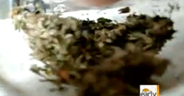 Dangerous synthetic drugs gaining popularity - CBS News