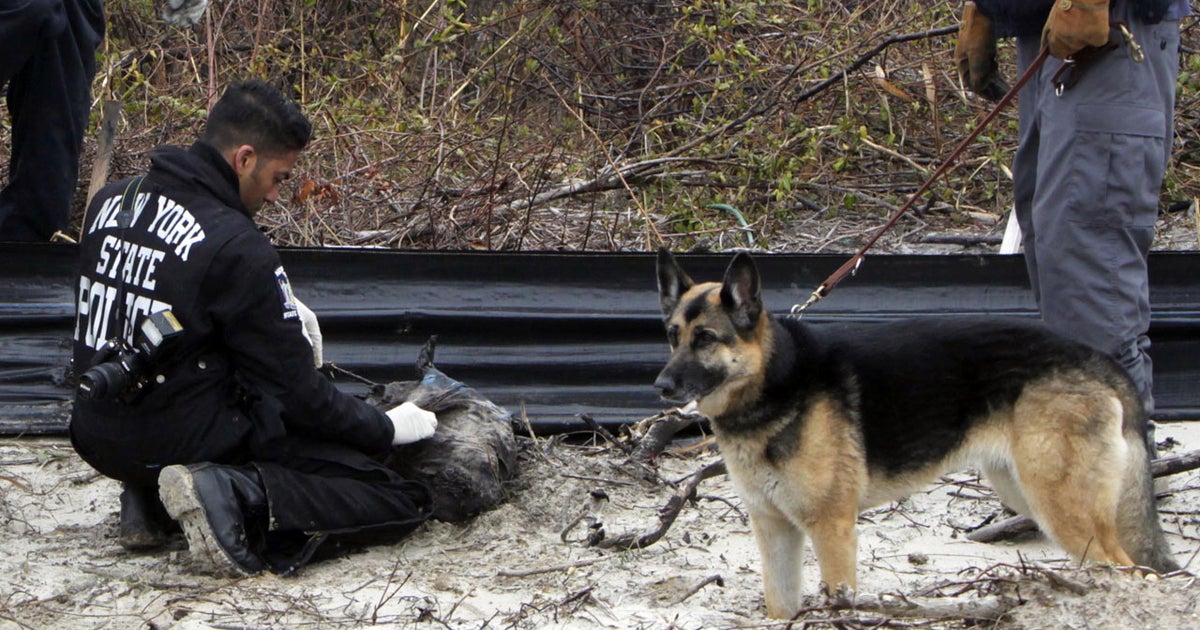 Long Island serial killer: More than one? - CBS News