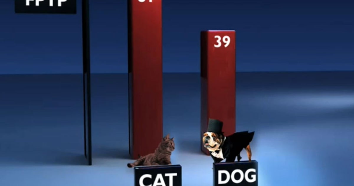 Britain's voting referendum explained with cats - CBS News
