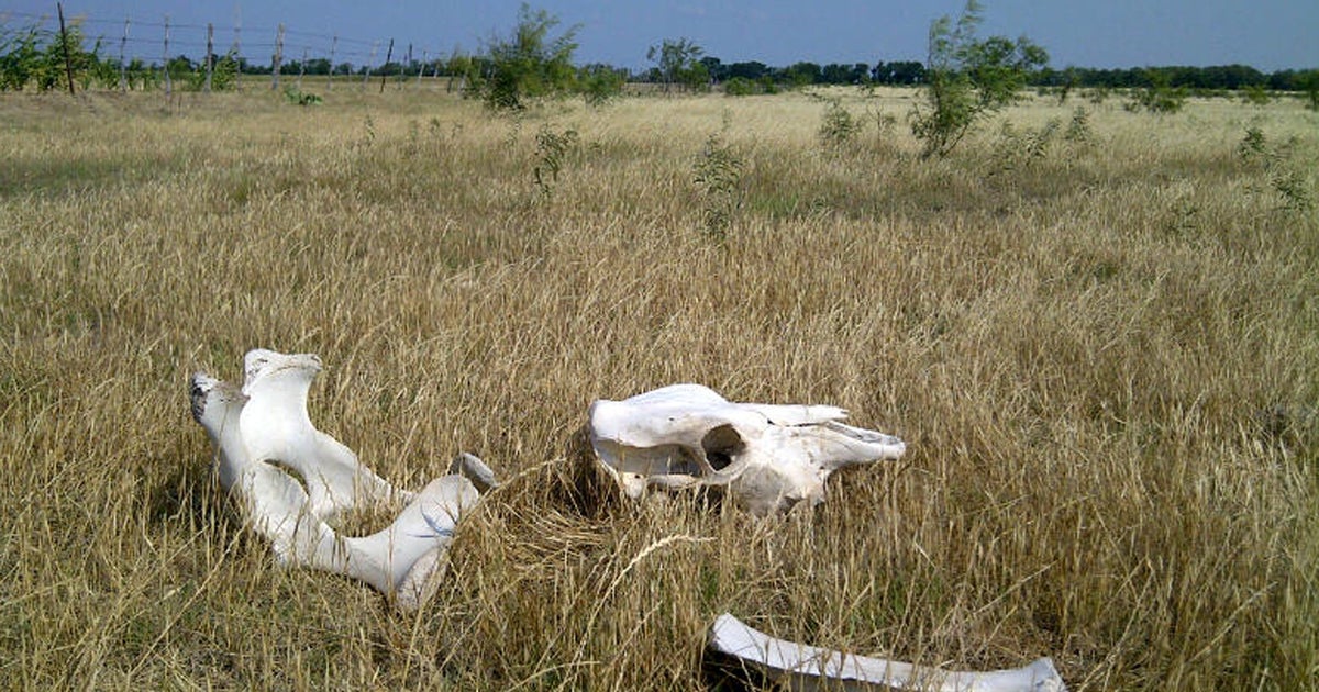 Texas declared a disaster (yes, the whole state) - CBS News