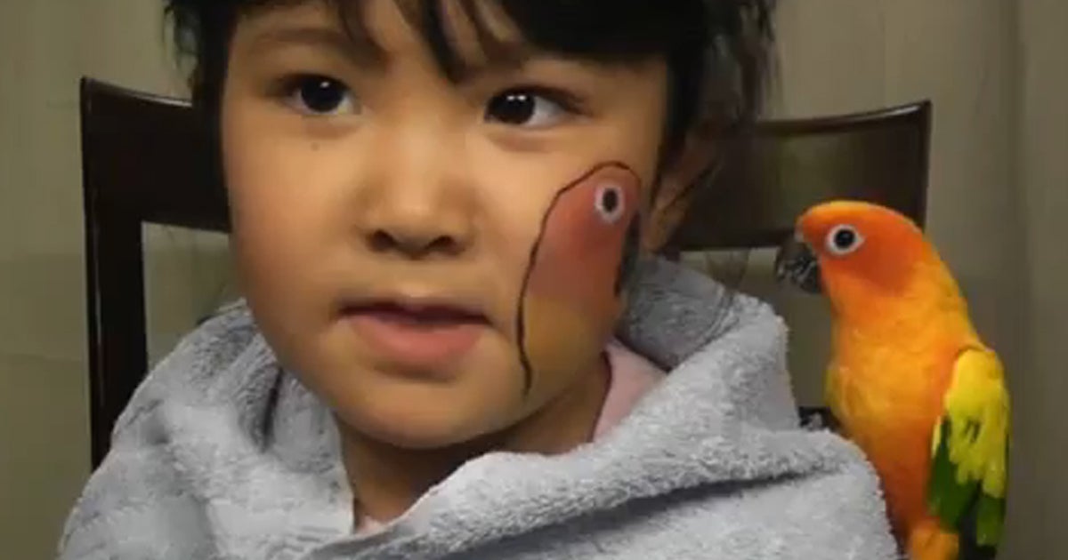 Meet Madison and her Sun Conure (exotic bird), Sunny! - CBS News