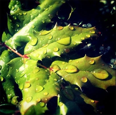50 more incredible Instagram photos