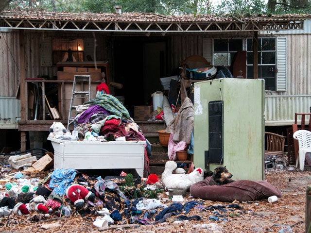 Pet hoarding horrors: 27 photos spotlight cruel disorder