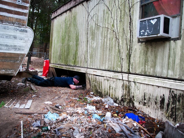 Pet hoarding horrors: 27 photos spotlight cruel disorder