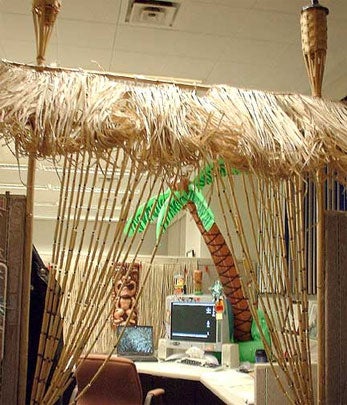 25 cubicles cooler than yours