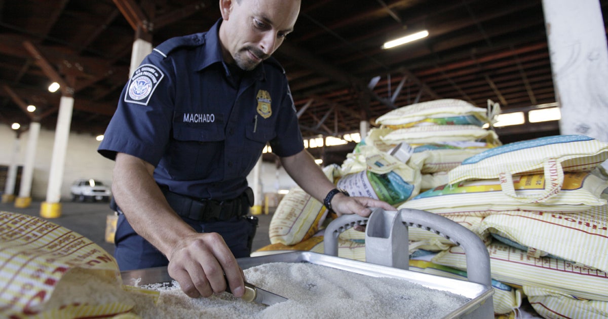 Post-9/11 security allowed costly pest invasion - CBS News