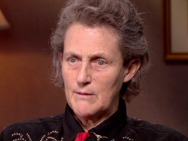 Temple Grandin: Understanding autism - CBS News
